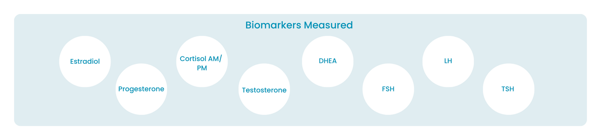 Female Hormone Panel – Knowing Labs